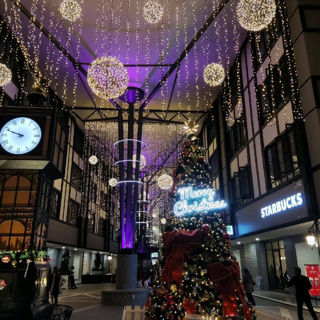 A 4-Day Cameron Highlands & Ipoh Tour - 96 Travel